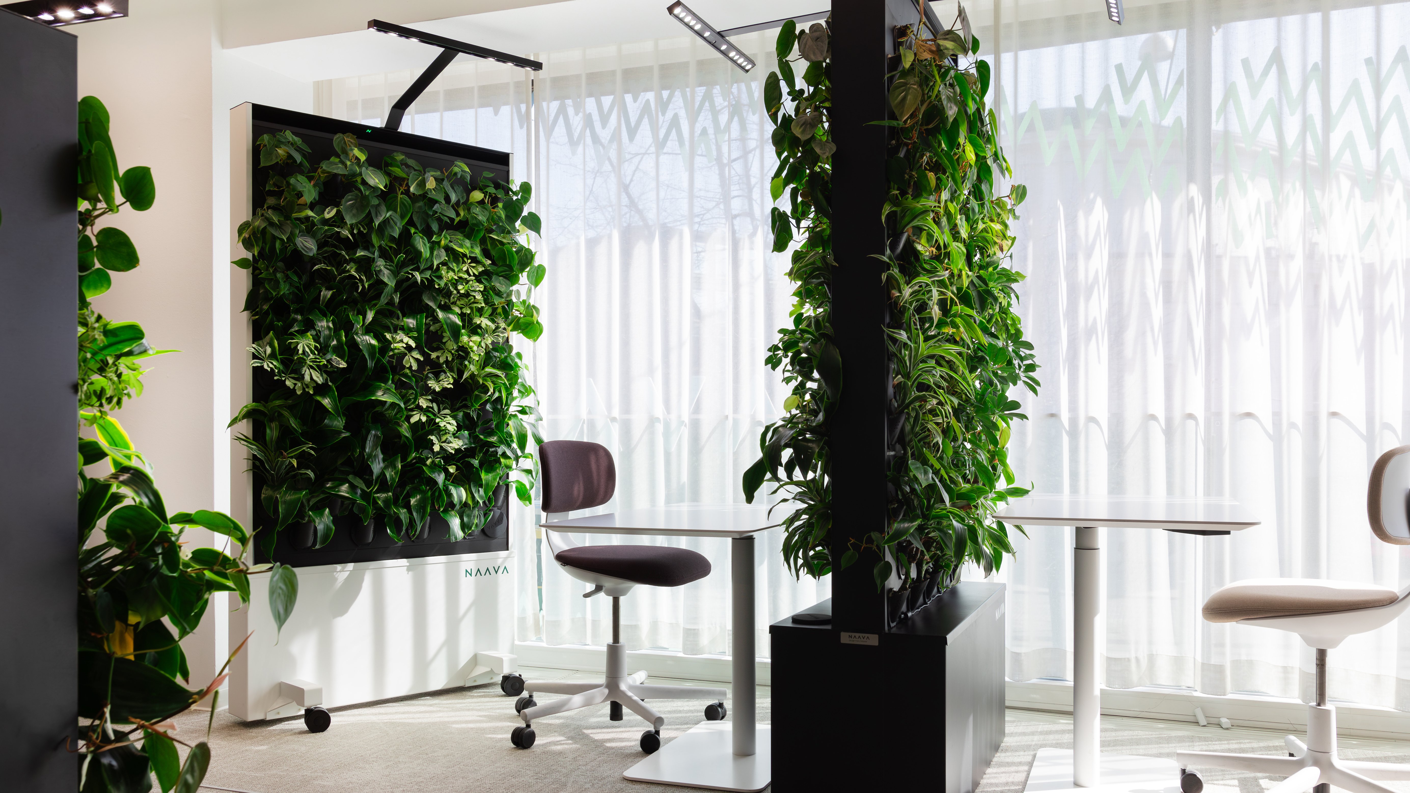 Naava Swan | Air purifying green furniture